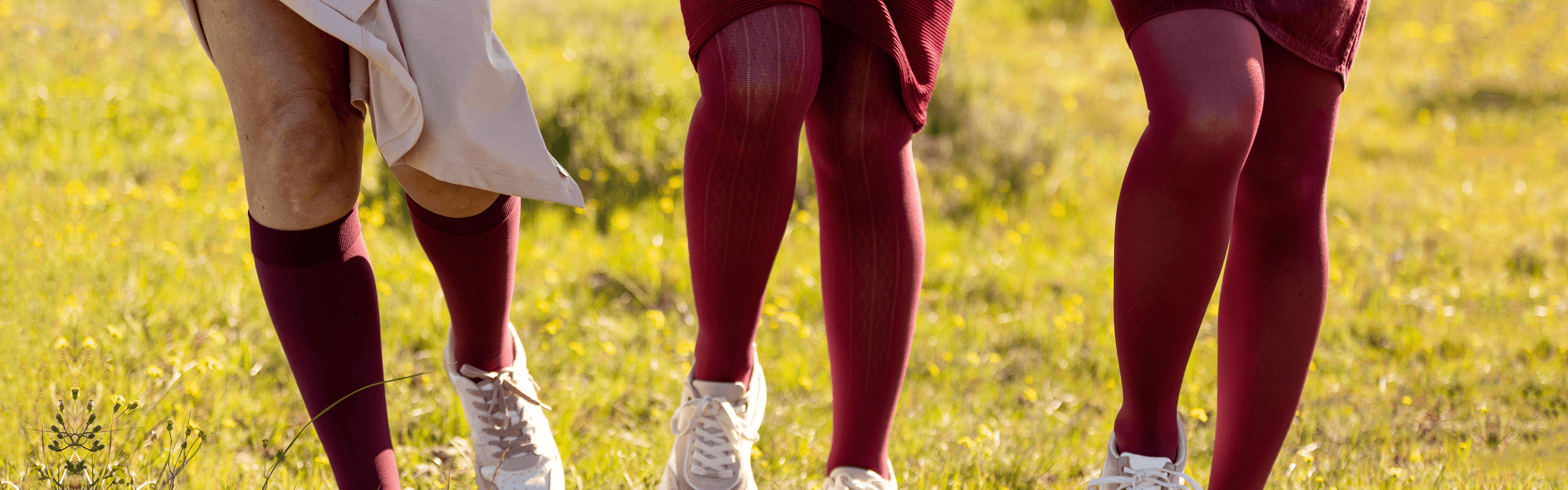 Legs & Veins Therapy
